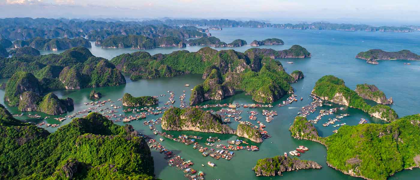 Cat Ba Gecko Routes Cat Ba Gecko Routes