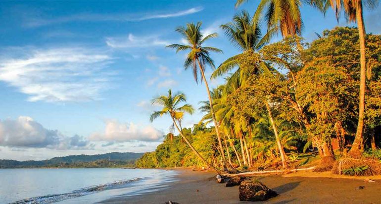 13 best things to do in Drake Bay | Gecko Routes