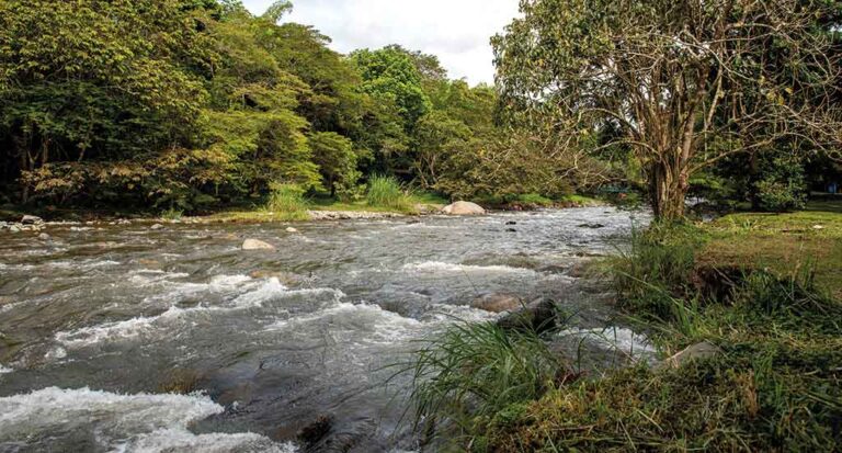 Top 17 things to do in Cali, Colombia